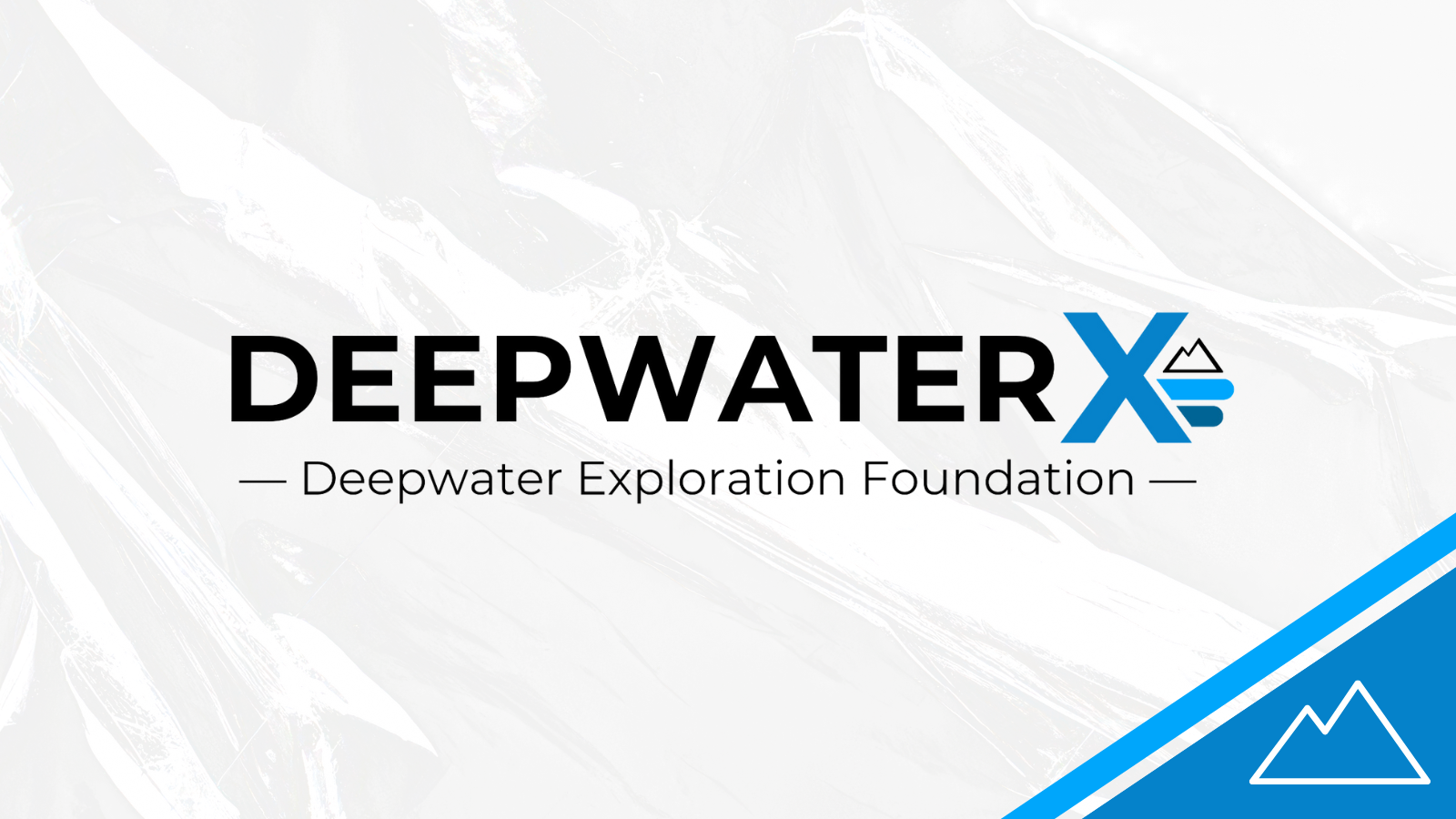 Home [www.deepwaterx.org]